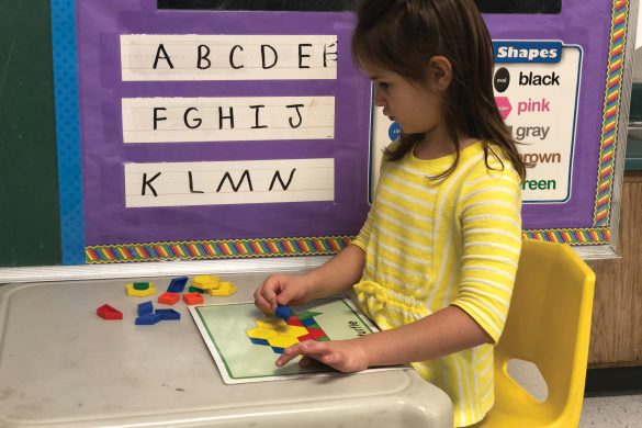 Gifted and Talented Program Launches to Challenge Students